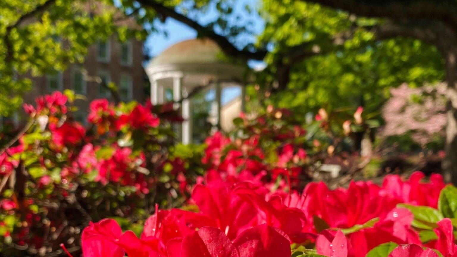 Frequently asked questions about the Morehead-Cain application