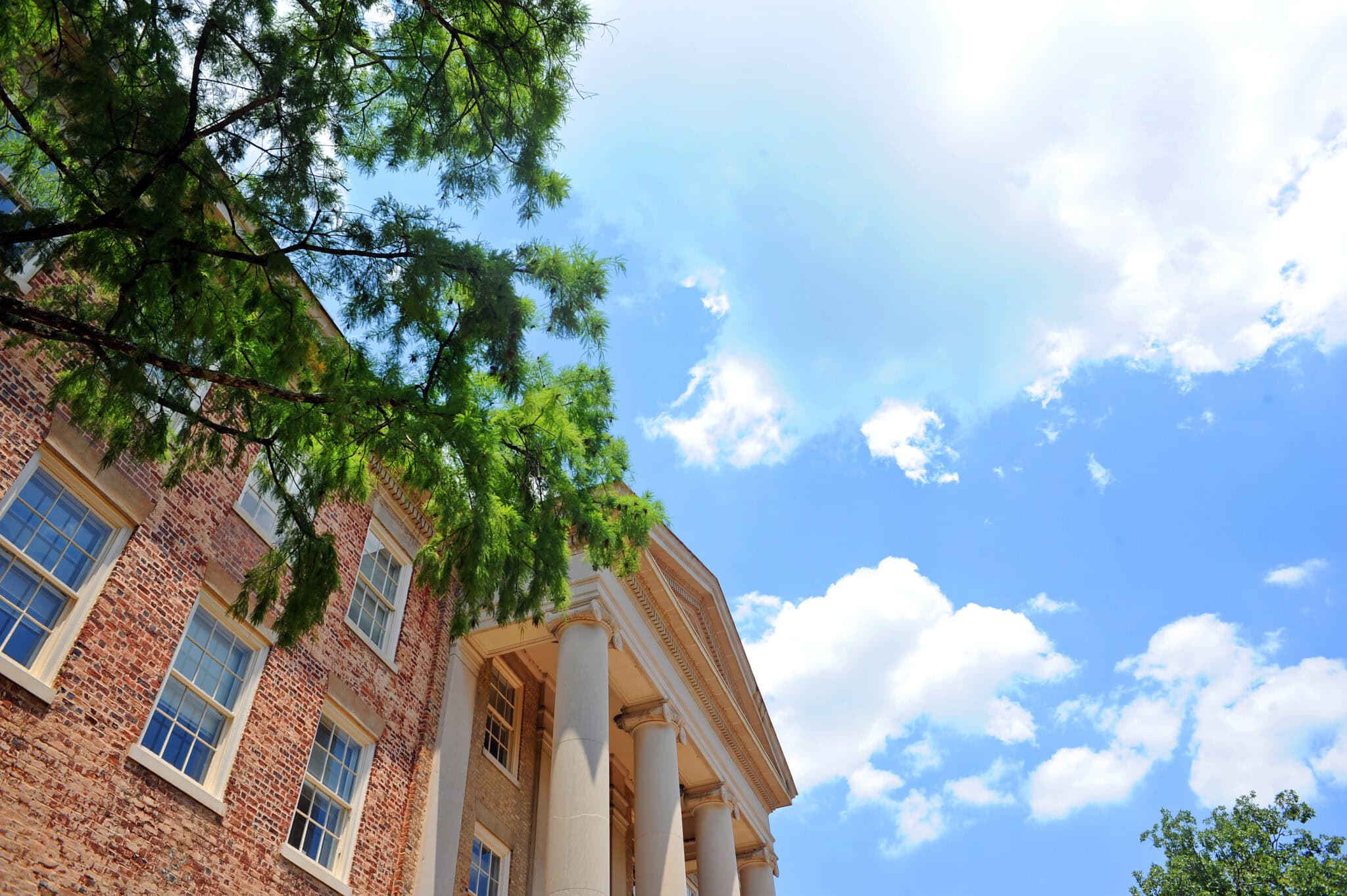 Introducing the new sophomores in the class of 2026